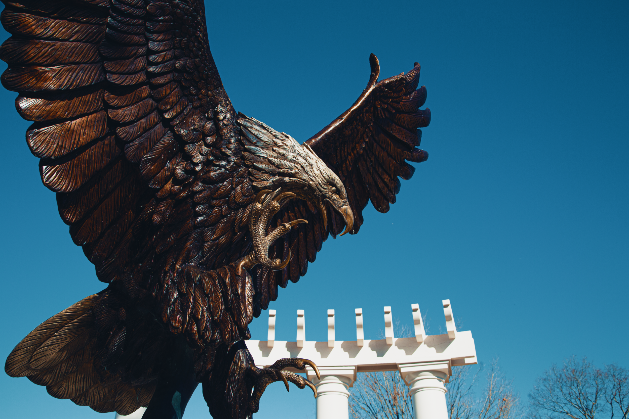 Apply | Carson-Newman University