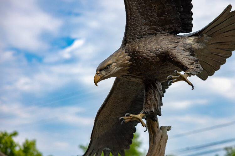 ABD Completion Pathway | Carson-Newman University