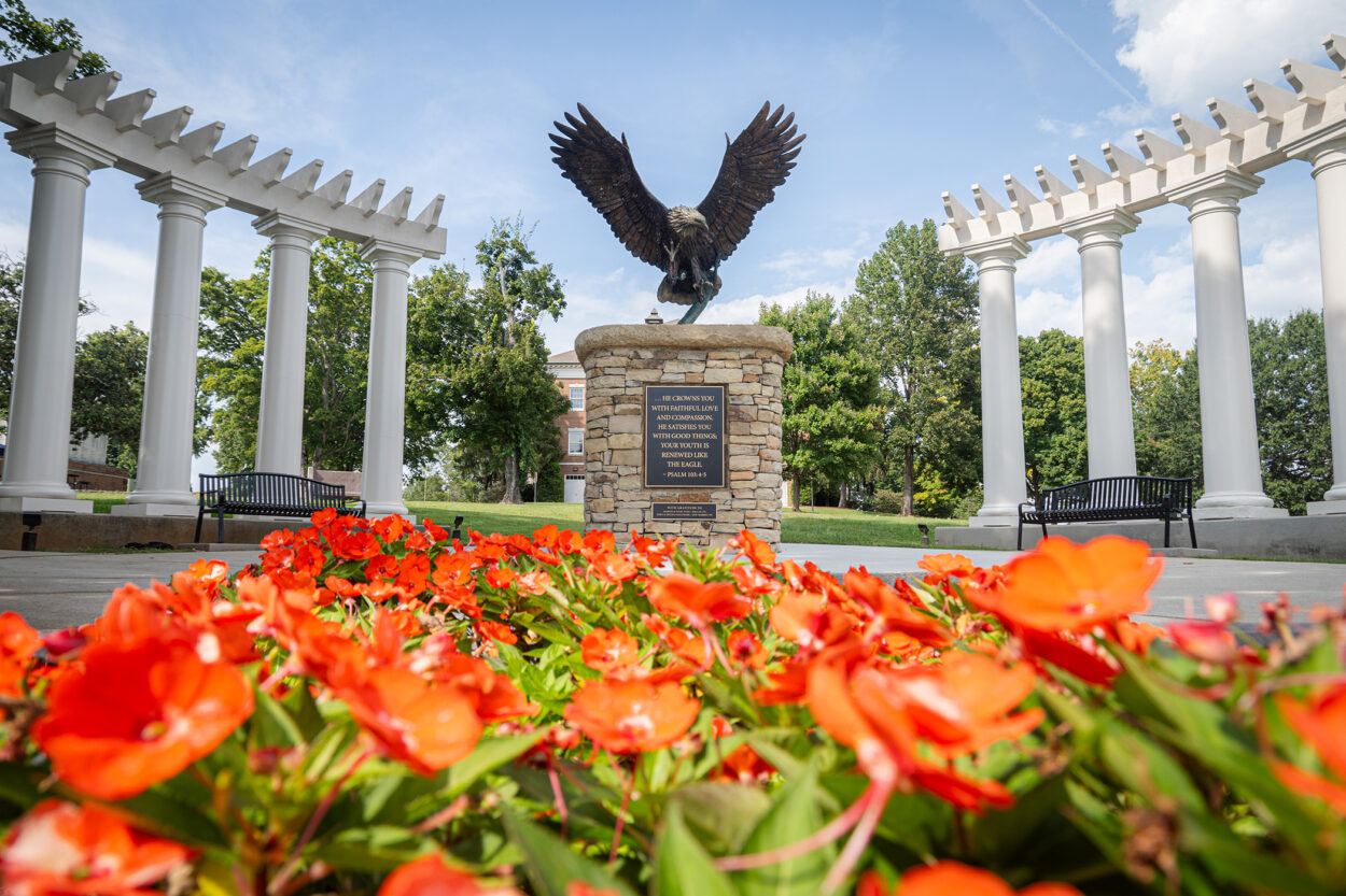 Admissions (Graduate) | Carson-Newman University