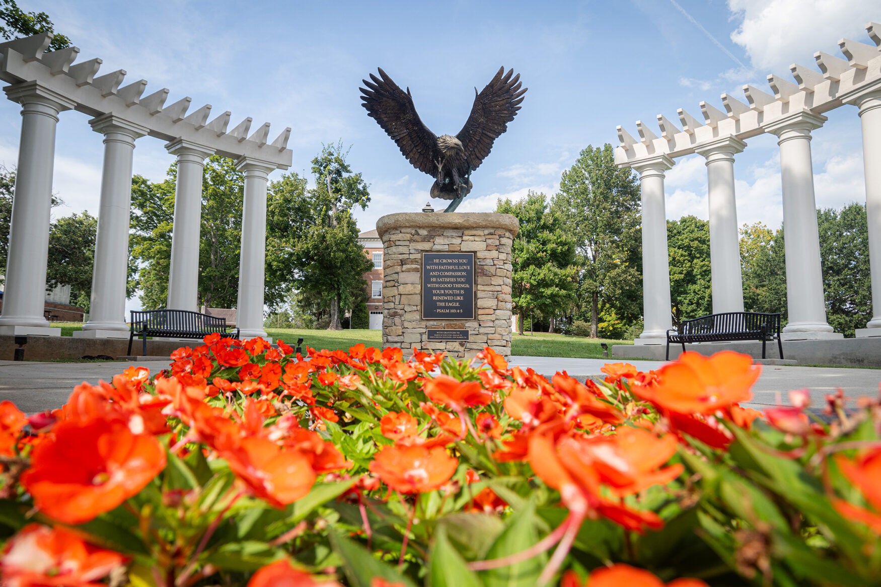 Admissions (Graduate) | Carson-Newman University